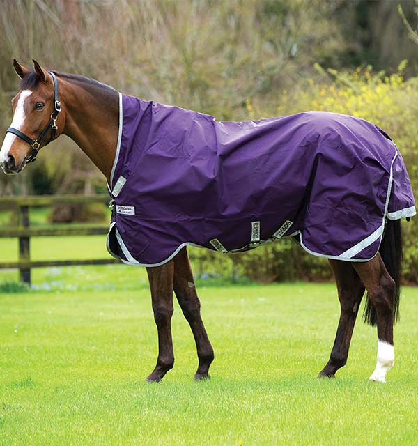 Rugs – Horse Heaven Equestrian