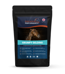 Premier Performance Grumpy Gelding – Horse Heaven Equestrian
