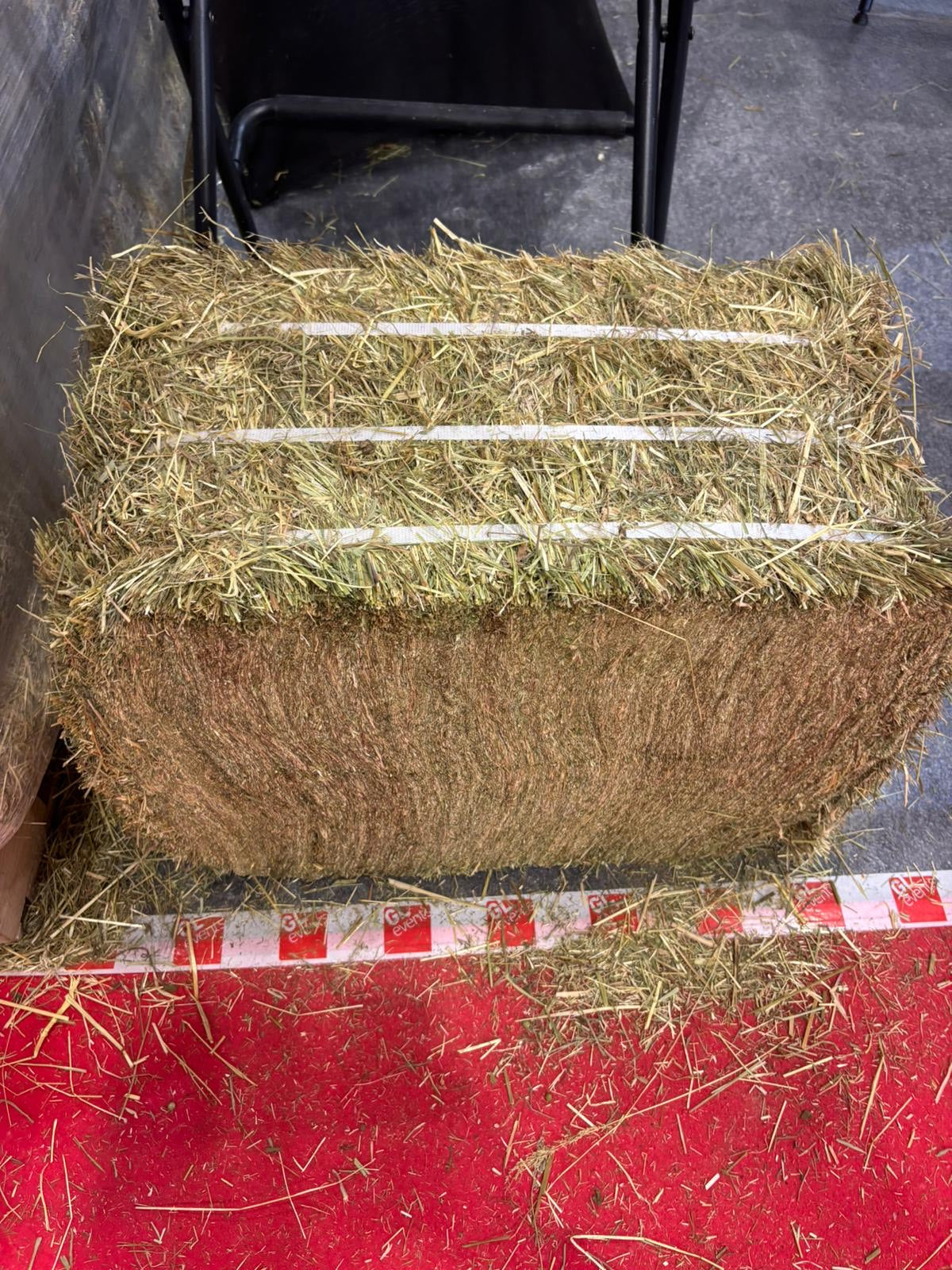 French Hay - 25KG – Horse Heaven Equestrian