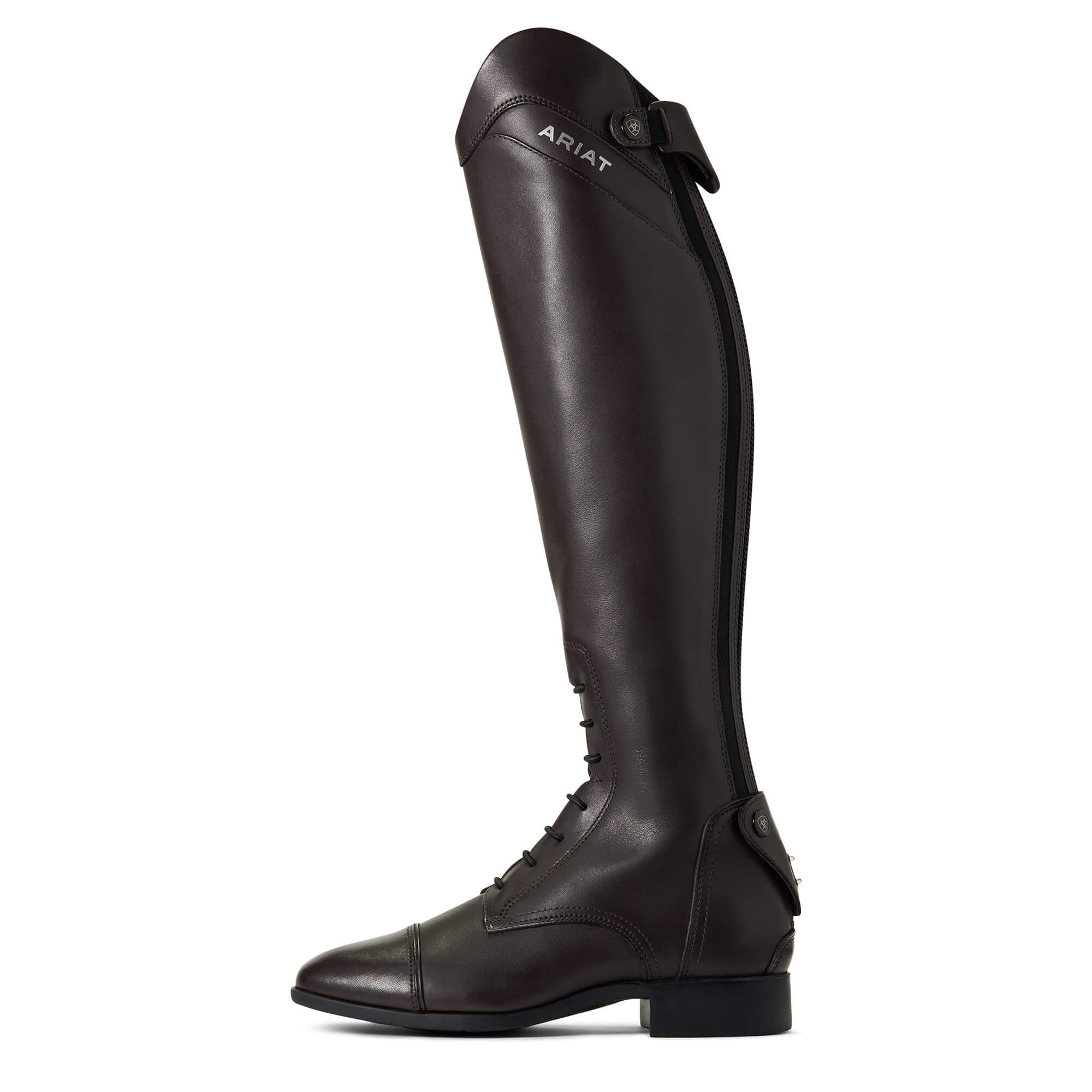 Ariat Palisade Tall Riding Boot – Horse Heaven Equestrian