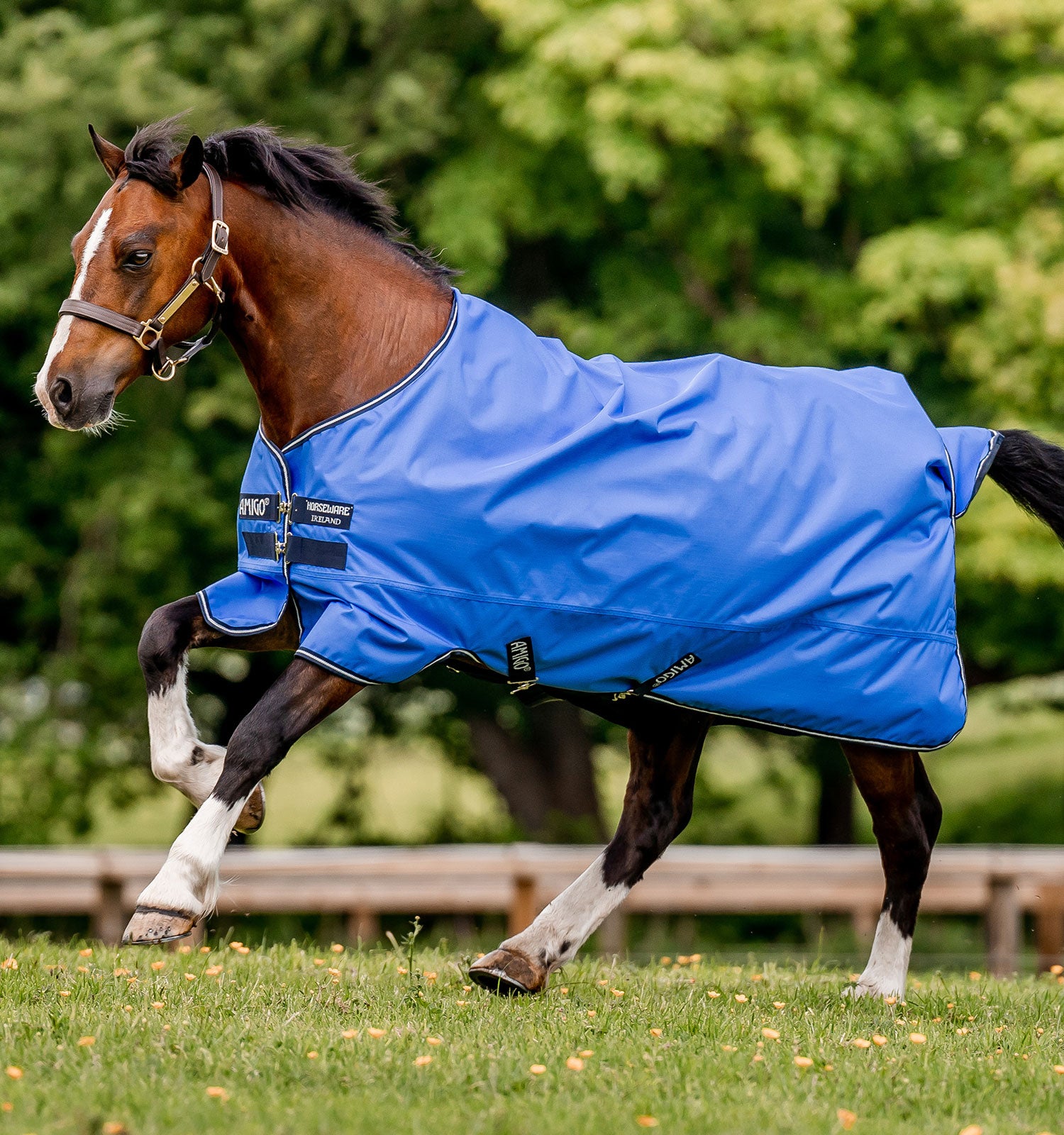 Horseware Amigo Hero Ripstop Turnout Waterproof 0g Rug - Atlantic Blue ...